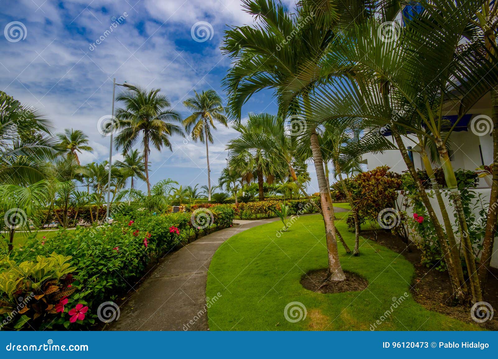 Walking Path with Palm Trees, Inside of a Luxury Hotel in Same, Ecuador ...