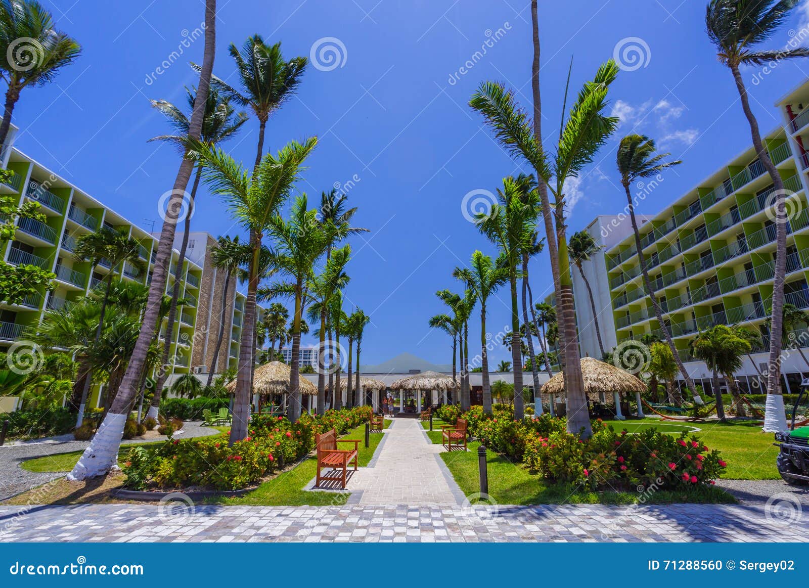 Walking Path with Palm Trees at Tropical Beach Editorial Image - Image ...