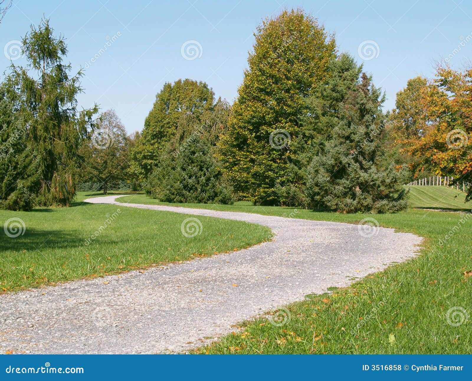 The Path In The Park Is Interrupted By A Shallow Excavation Of A Gutter ...