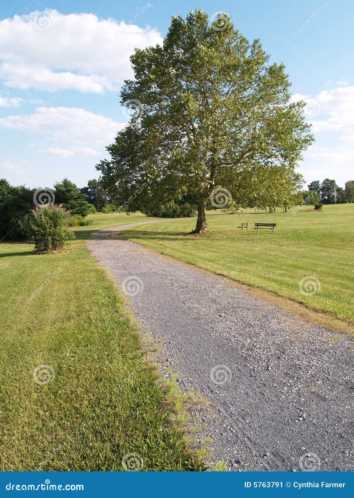 Walking path in a park stock image. Image of pennsylvania - 5763791
