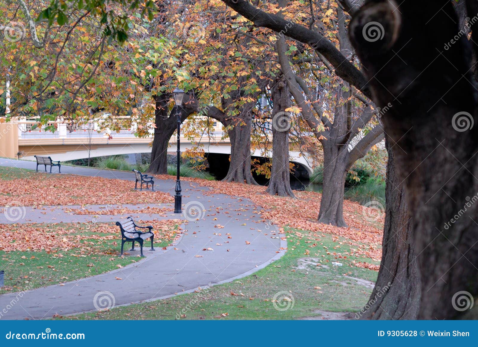 Walking path in the park stock photo. Image of nature - 9305628