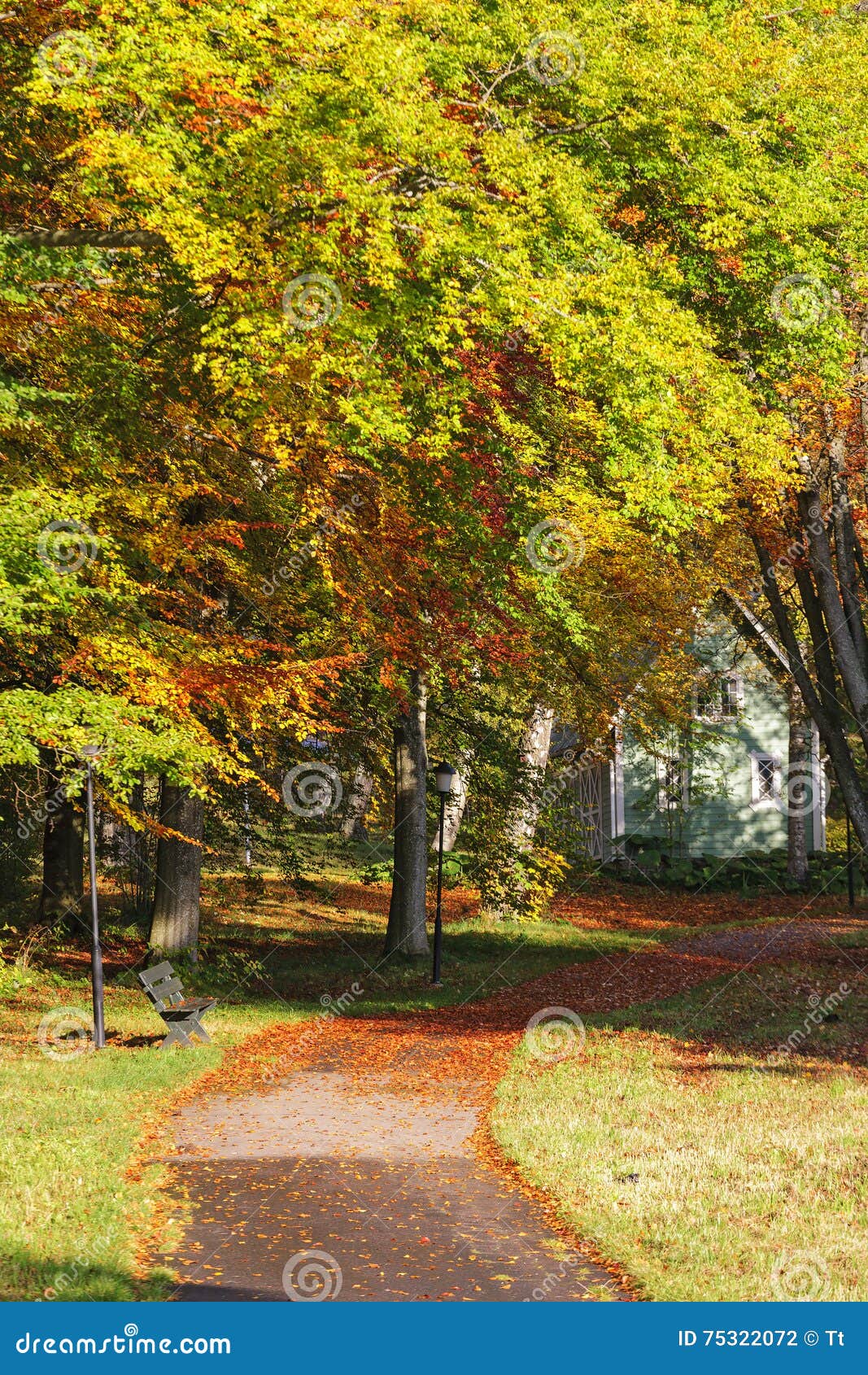 Walking path in a park stock photo. Image of outdoors - 75322072