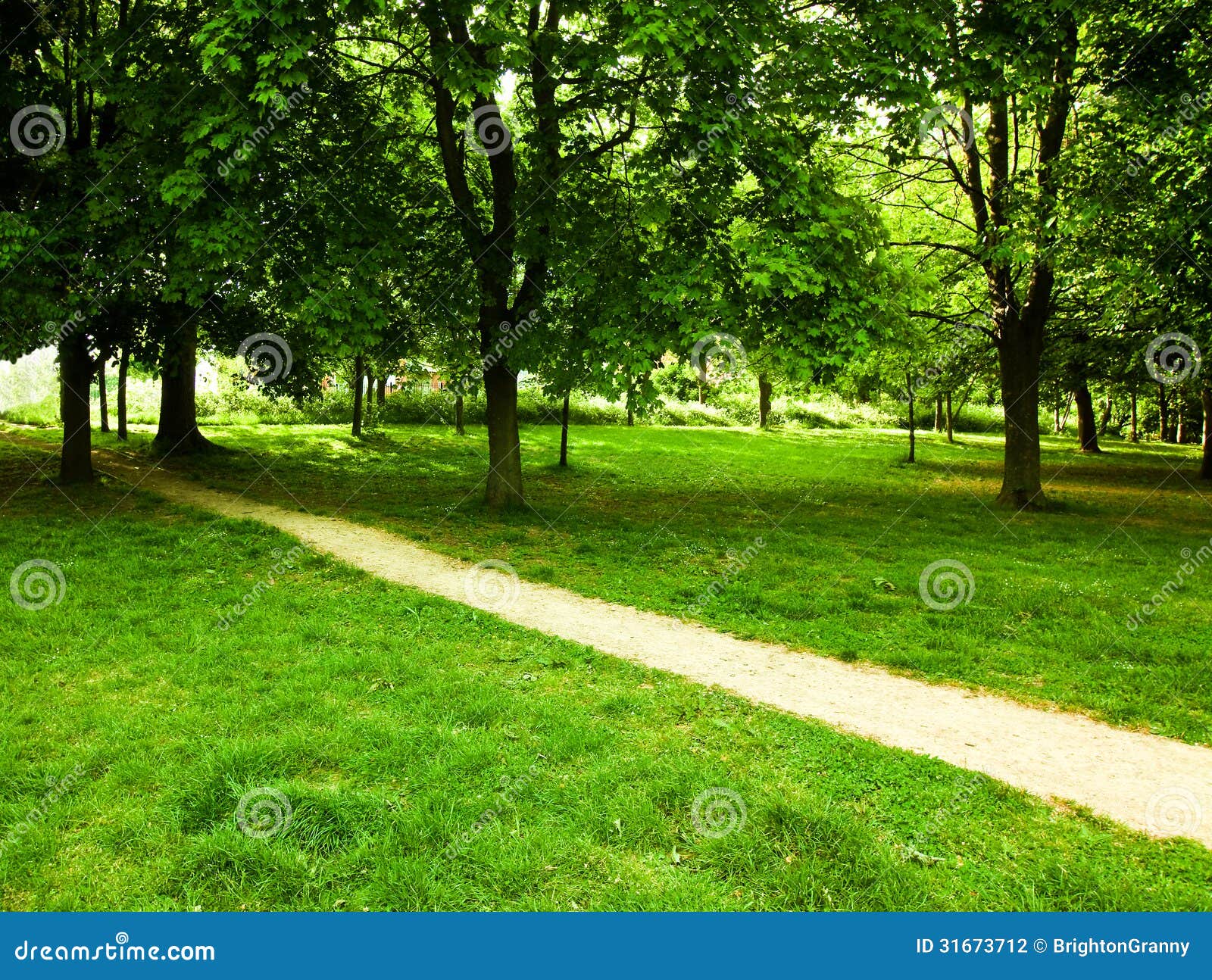 Walking path through park stock photo. Image of outdoors - 31673712