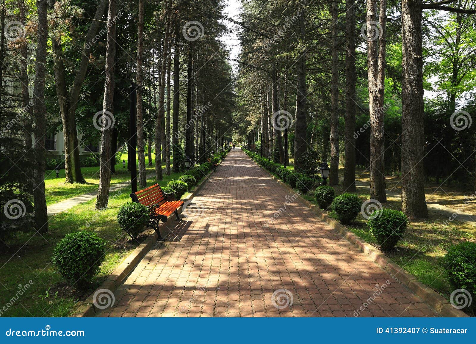 Walking path in the park stock image. Image of footpath - 41392407