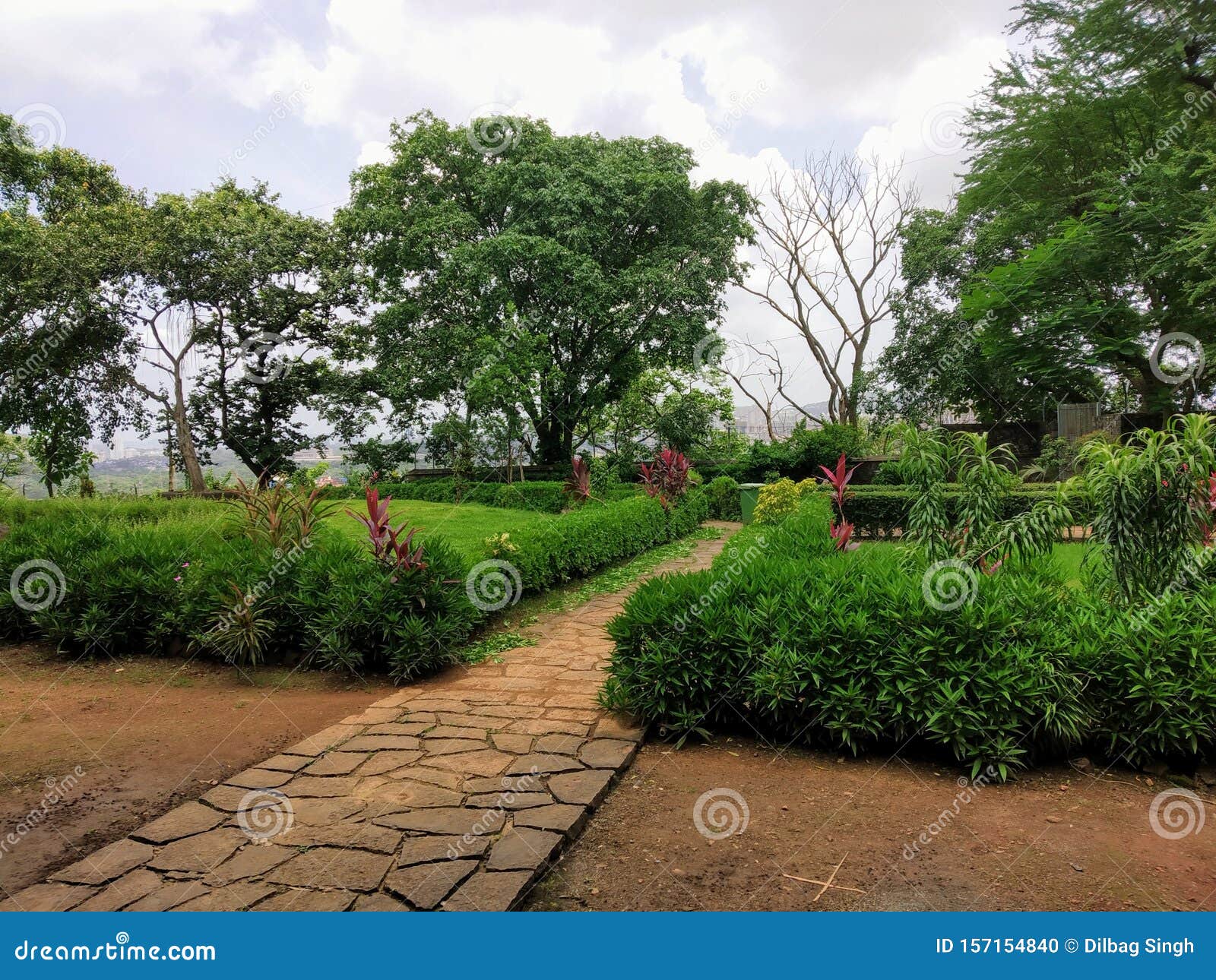 Walking path in park stock photo. Image of garden, path - 157154840