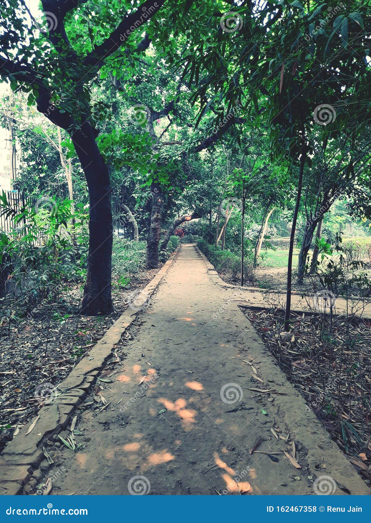 Walking path in park stock photo. Image of path, garden - 162467358