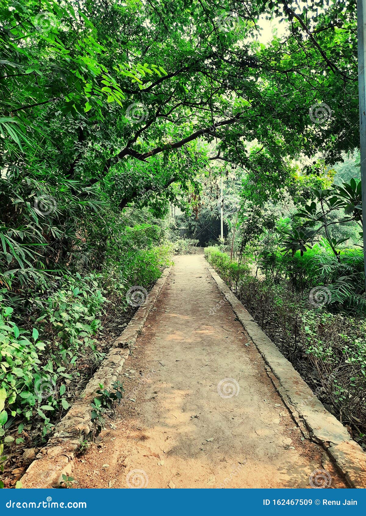 Walking path in park stock image. Image of jogging, nature - 162467509