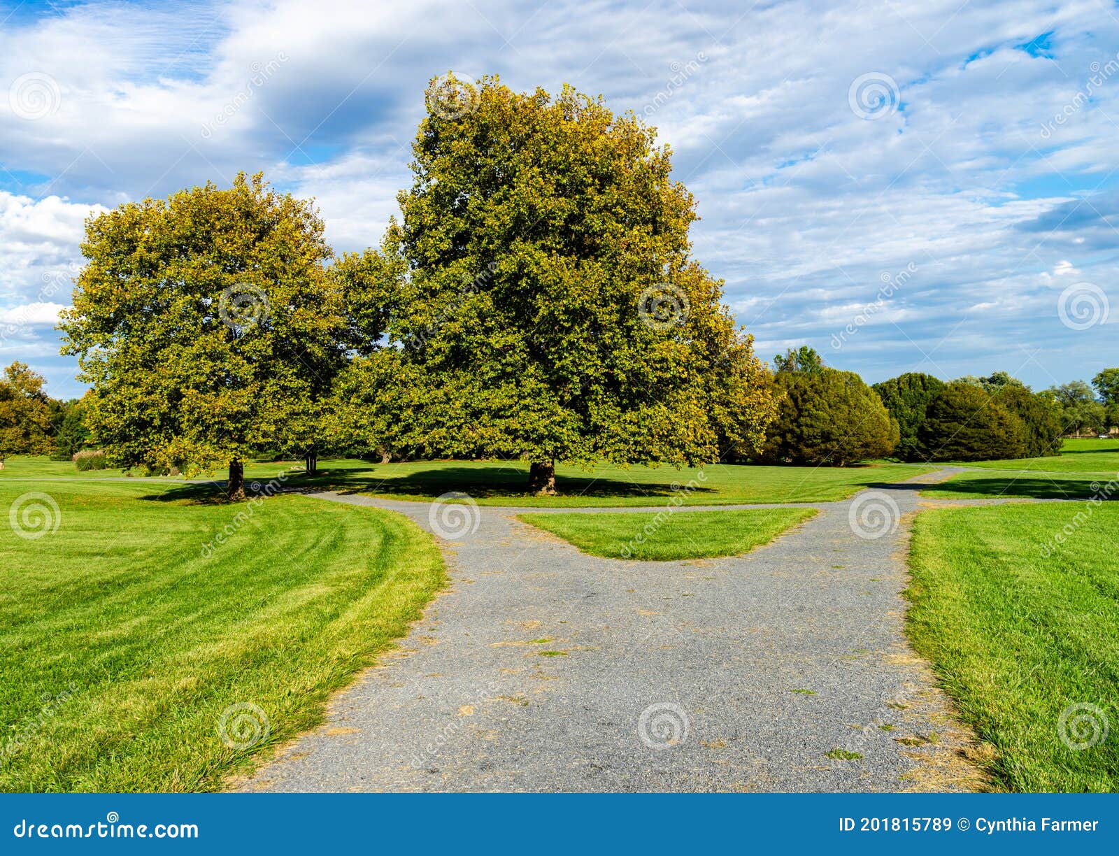 Walking Path in a Park Splits into Two Directions Stock Image - Image ...