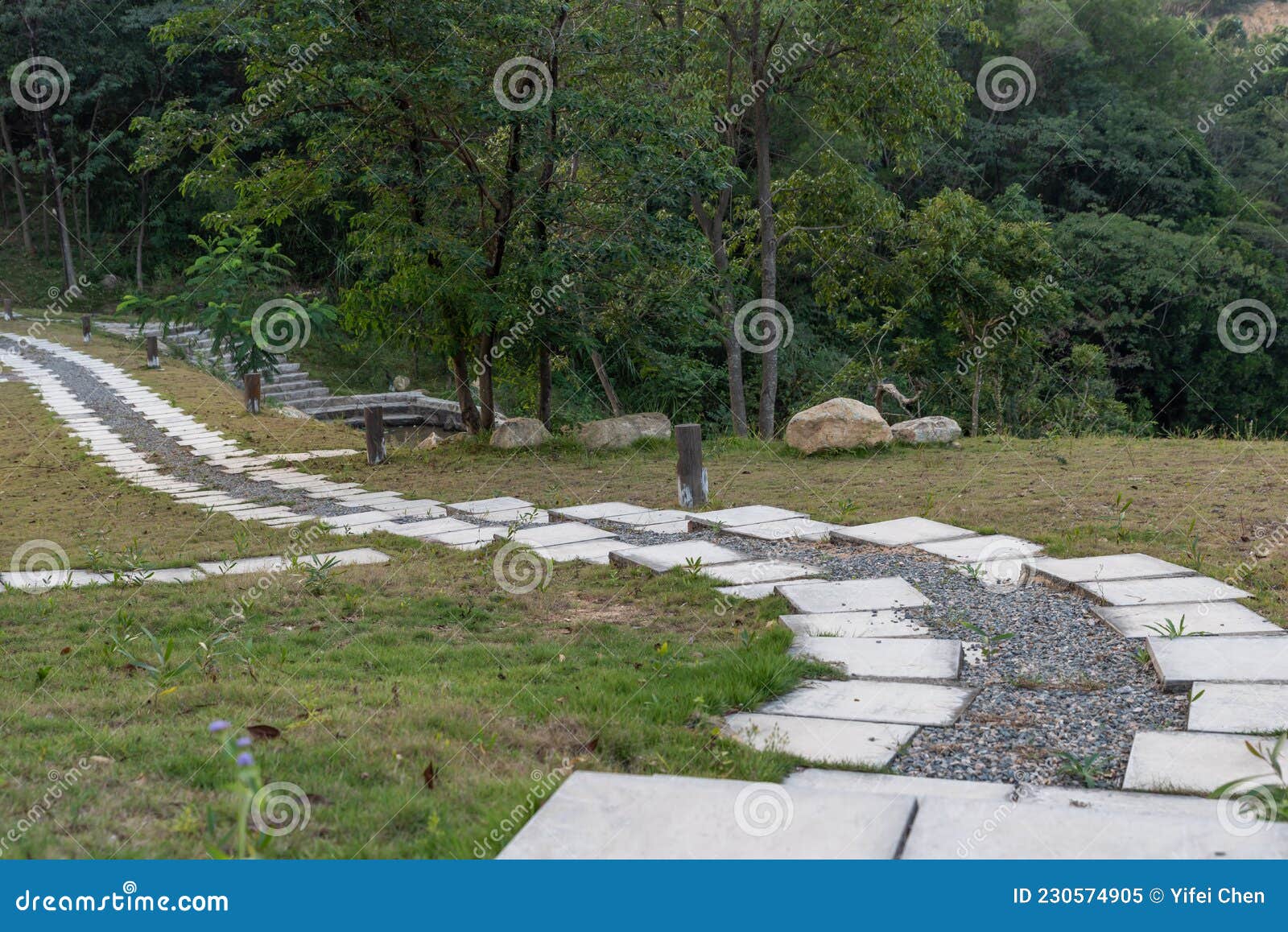 The Walking Path in the Park is Surrounded by Trees Stock Image - Image ...