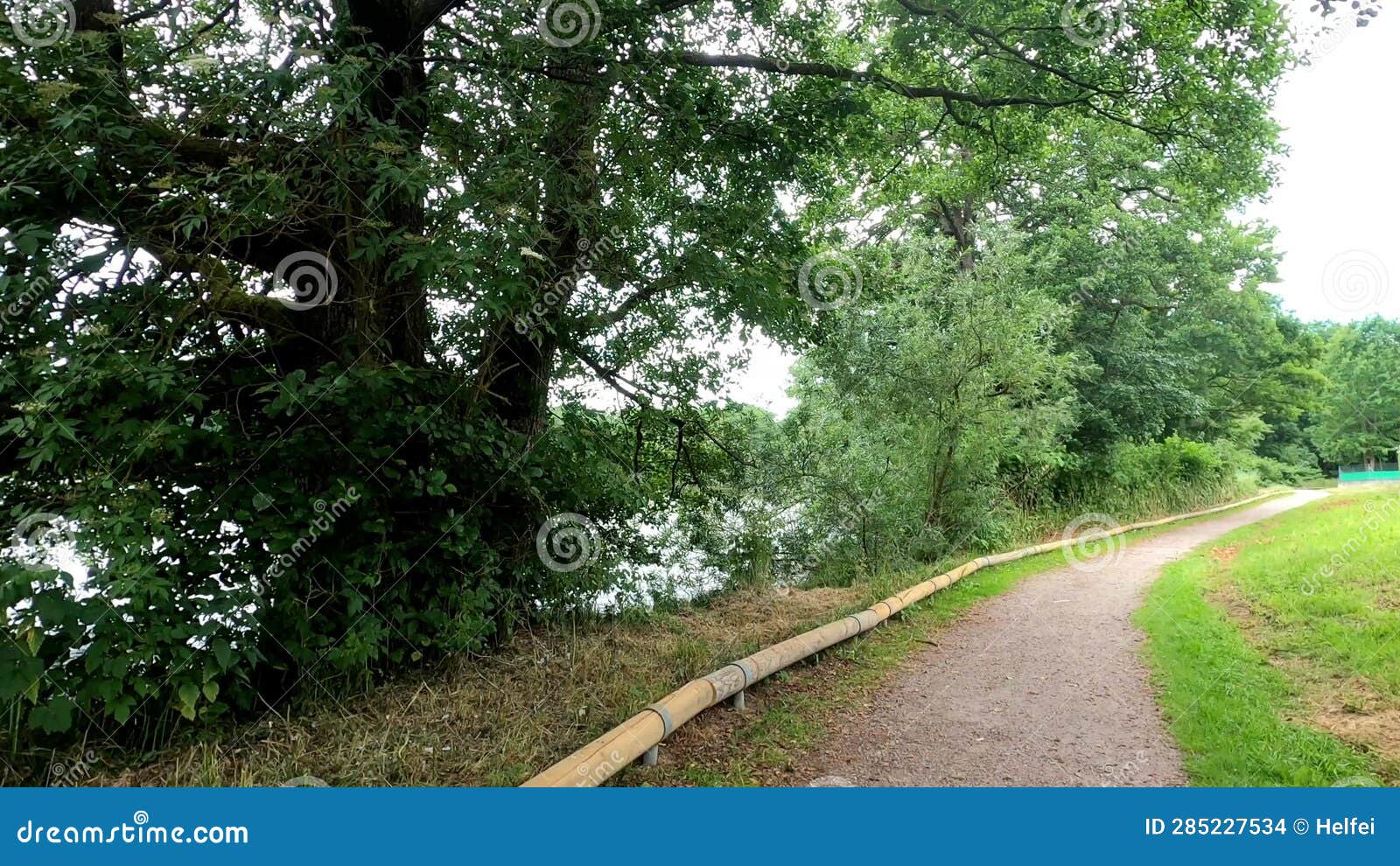 Walking Path in the Park with Trees and Grass Stock Footage - Video of ...