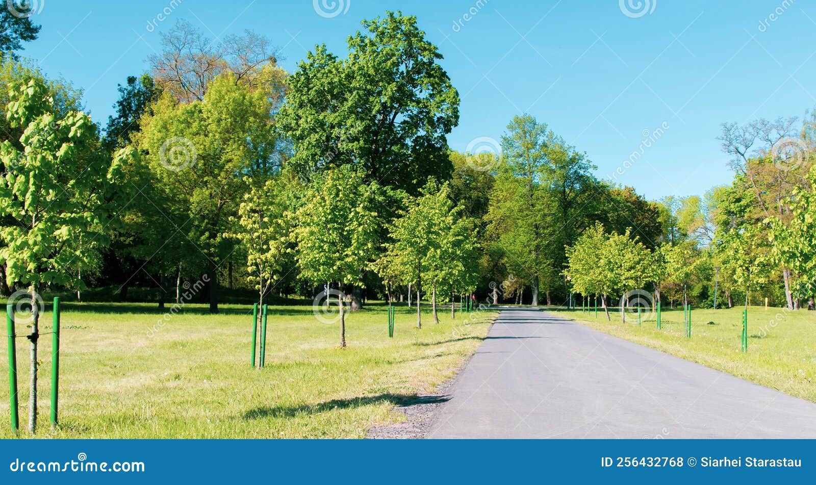 Walking path in the park stock photo. Image of outdoor - 256432768