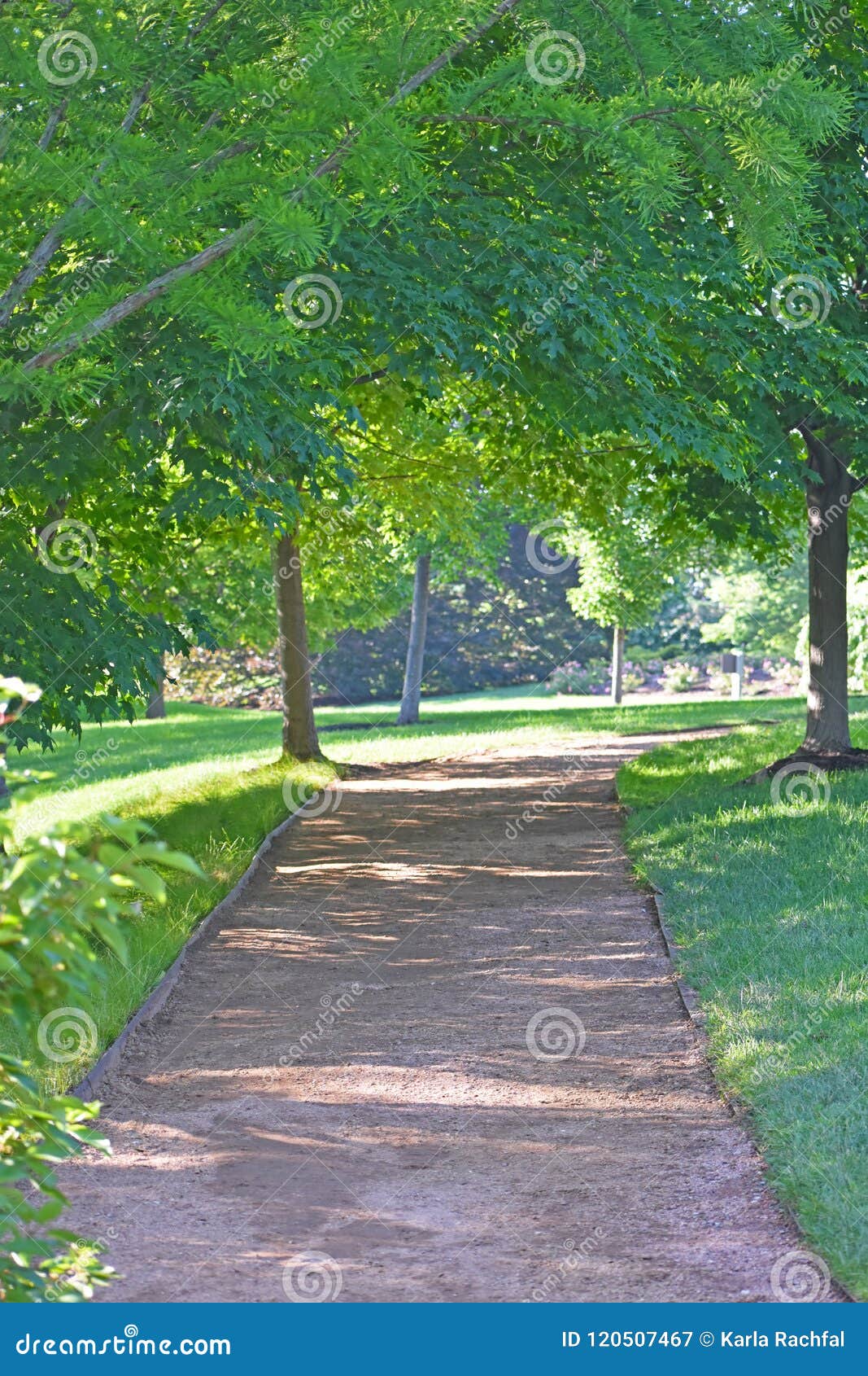 Walking Path through the Park Stock Image - Image of close, flowers ...