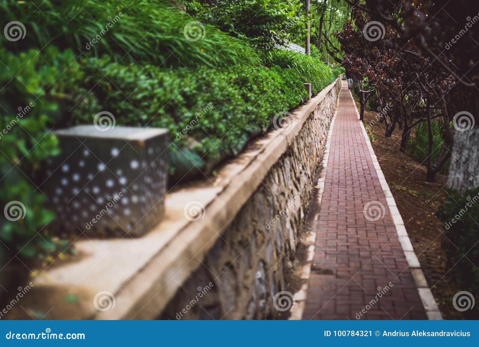 Walking path in park stock image. Image of destinations - 100784321
