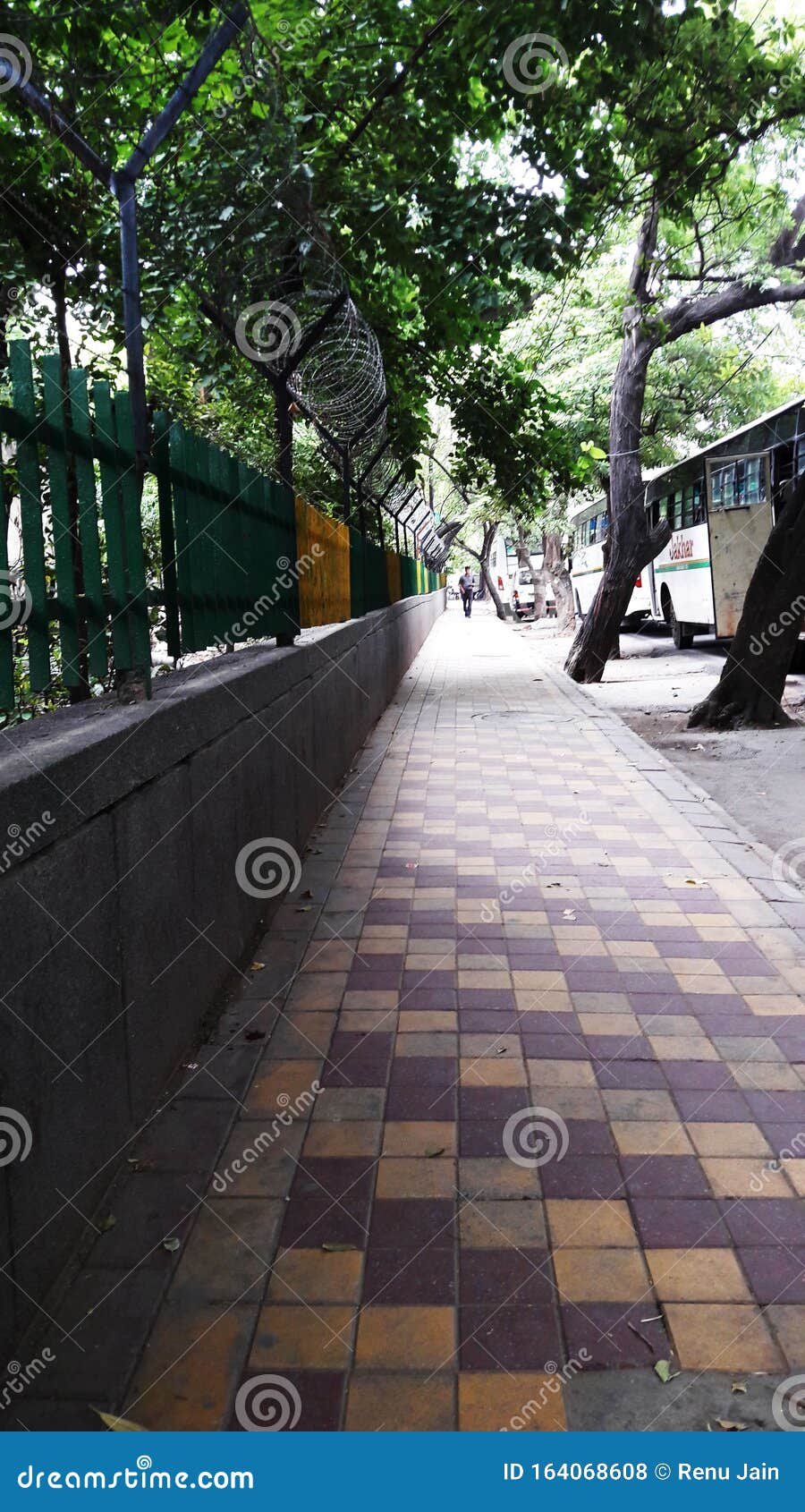 Walking path at road side stock photo. Image of road - 164068608