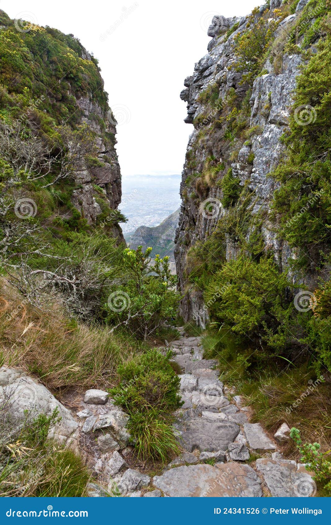 Walking Path between the Rocks Stock Photo - Image of nature, scenic ...
