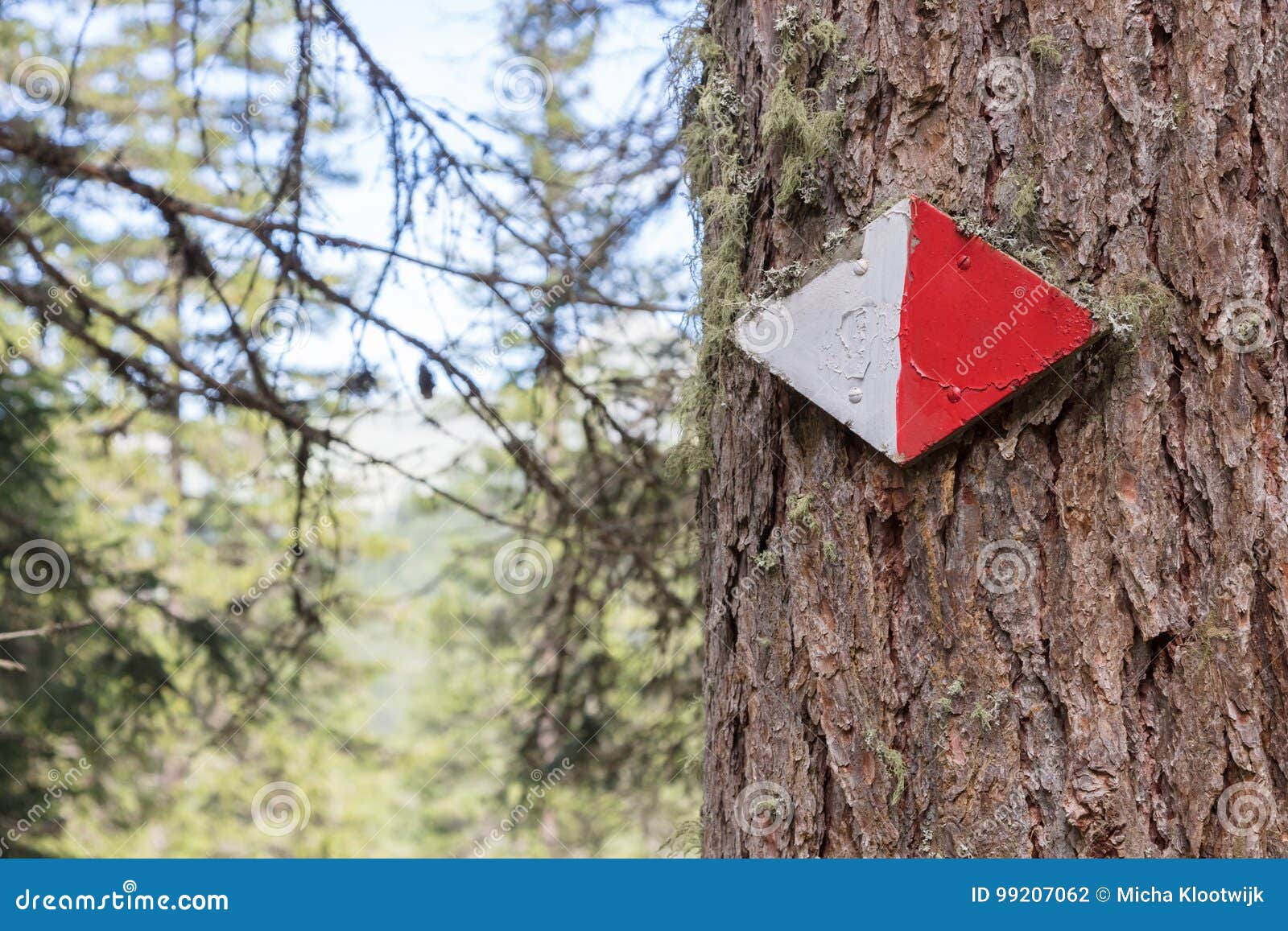 Walking Path Sign in Austria Stock Photo - Image of arrow, pole: 99207062