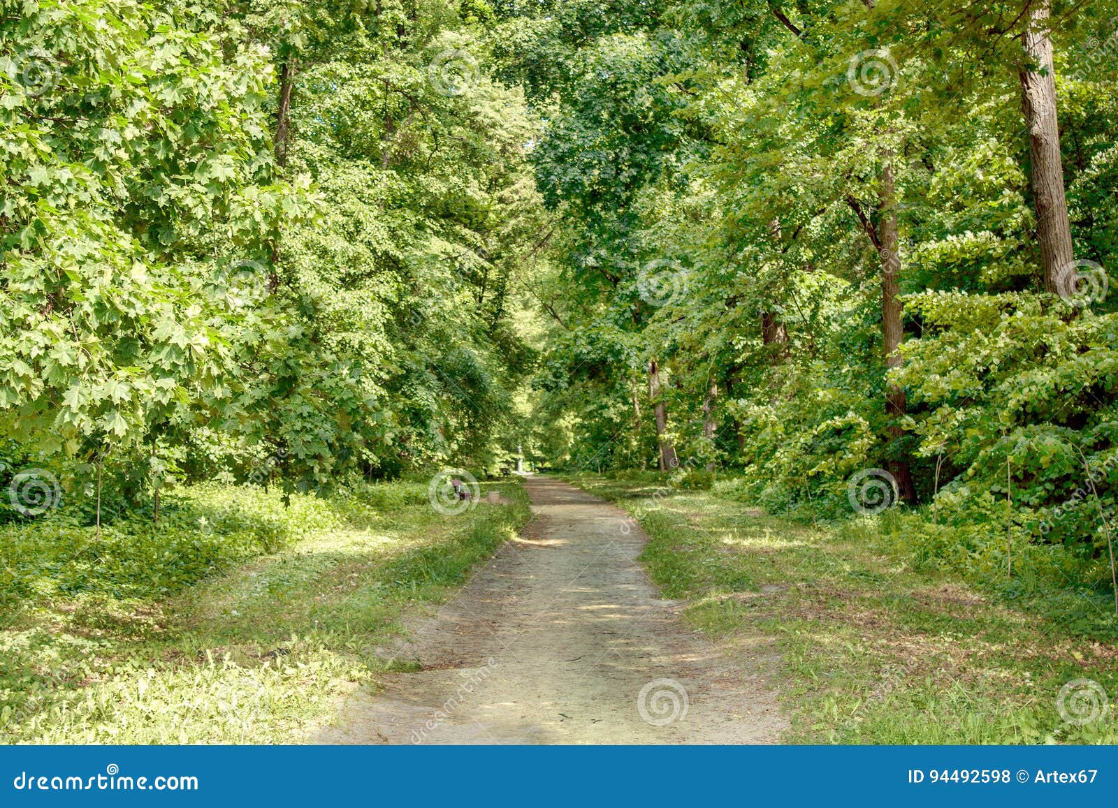 Walking Path in the Summer in the Arboretum Stock Photo - Image of land ...