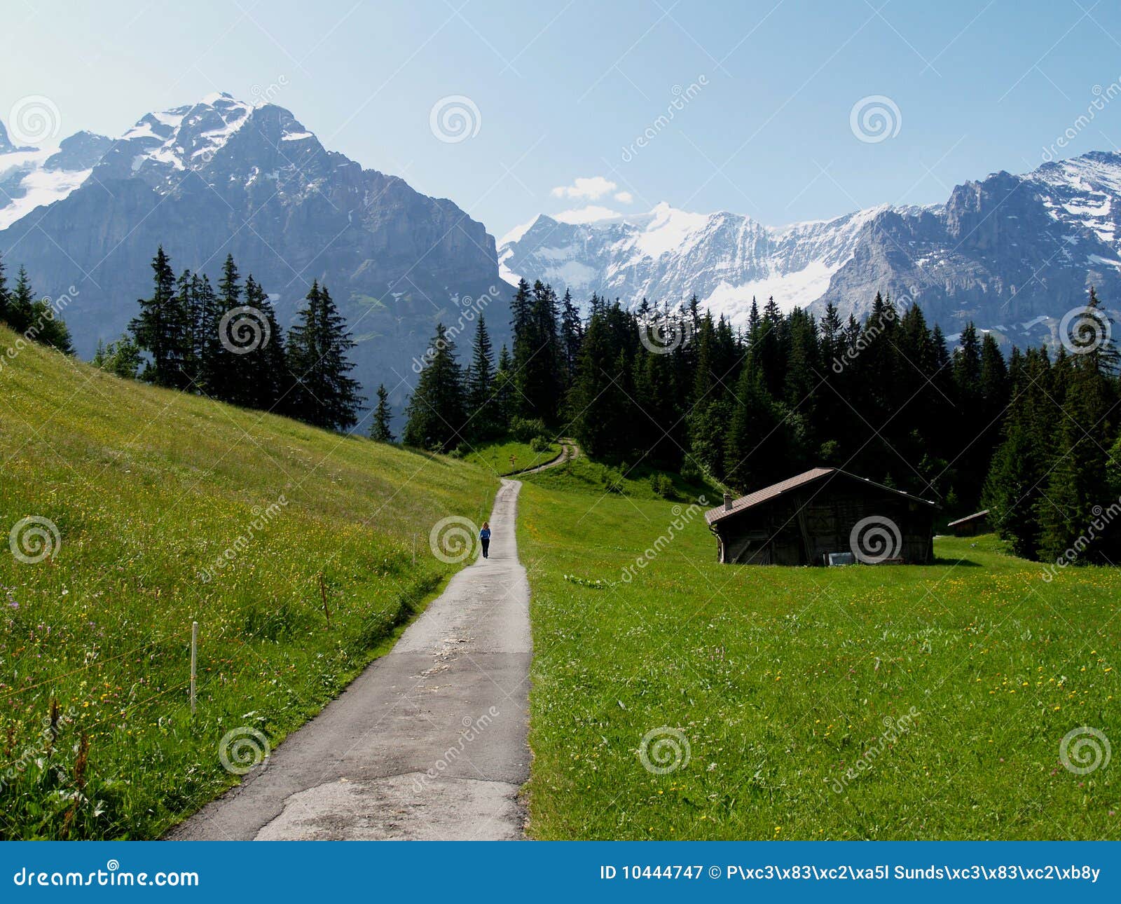 Walking Path into the Swiss Alps Stock Image - Image of hills, footpath ...