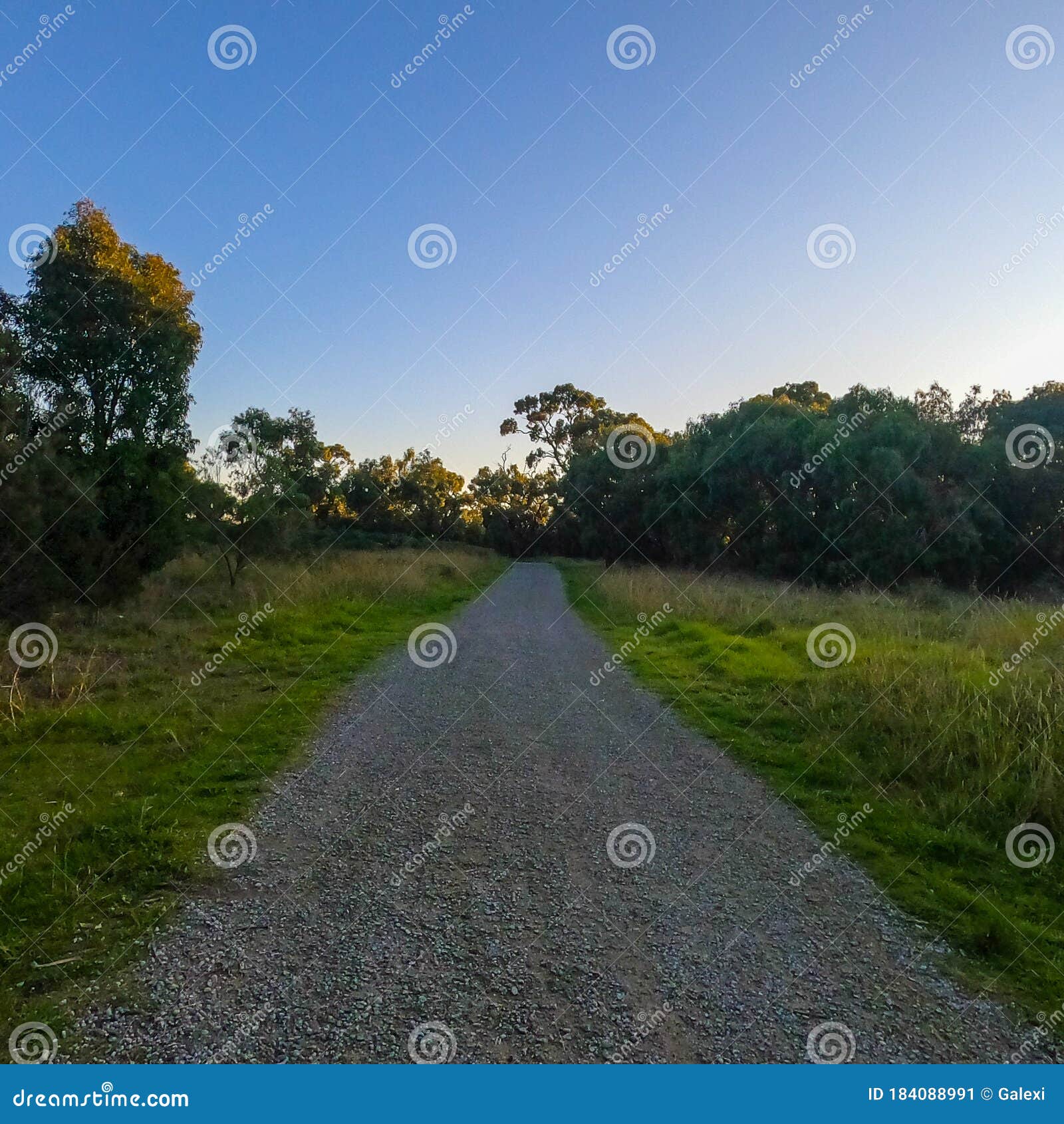 Walking Path with Wild Green Plants and Blue Sky in Background Stock ...