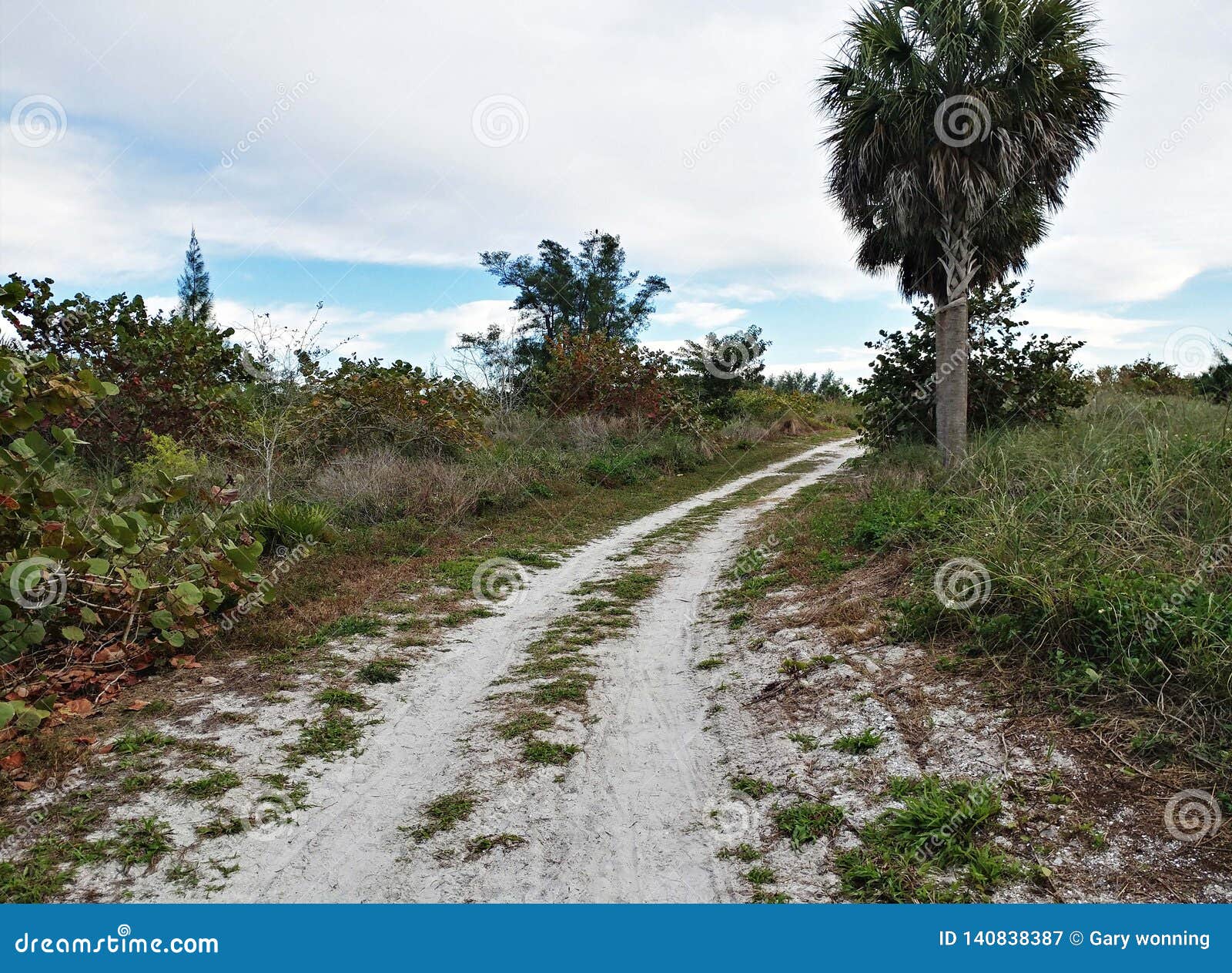 Walking Path in Wooded Area Near Beach Stock Image - Image of condis ...