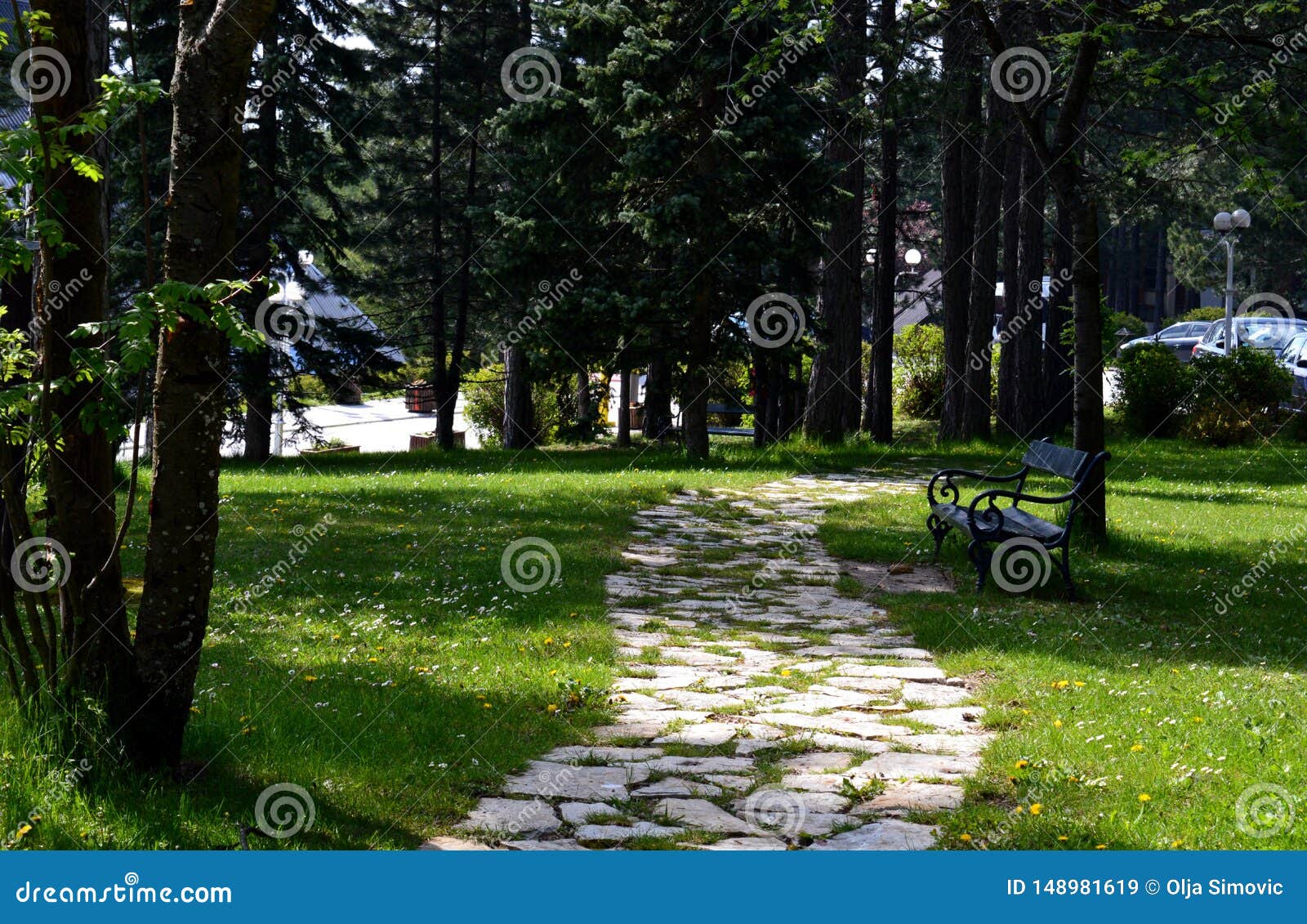 Walking Paths and Benches on the Mountain Stock Image - Image of wooden ...