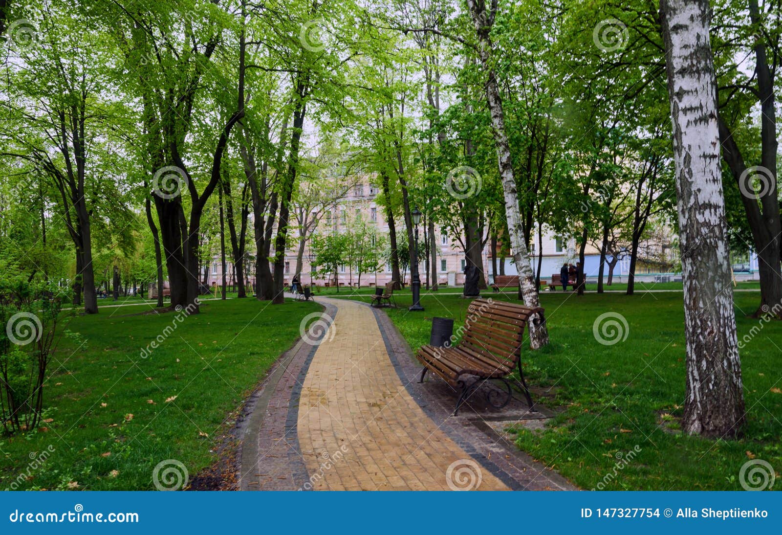 Walking Paths in the Park, Benches for Rest, and Green Trees Stock ...
