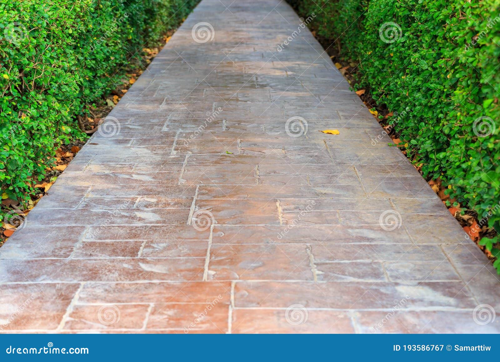Walking paths in the park stock image. Image of nature - 193586767