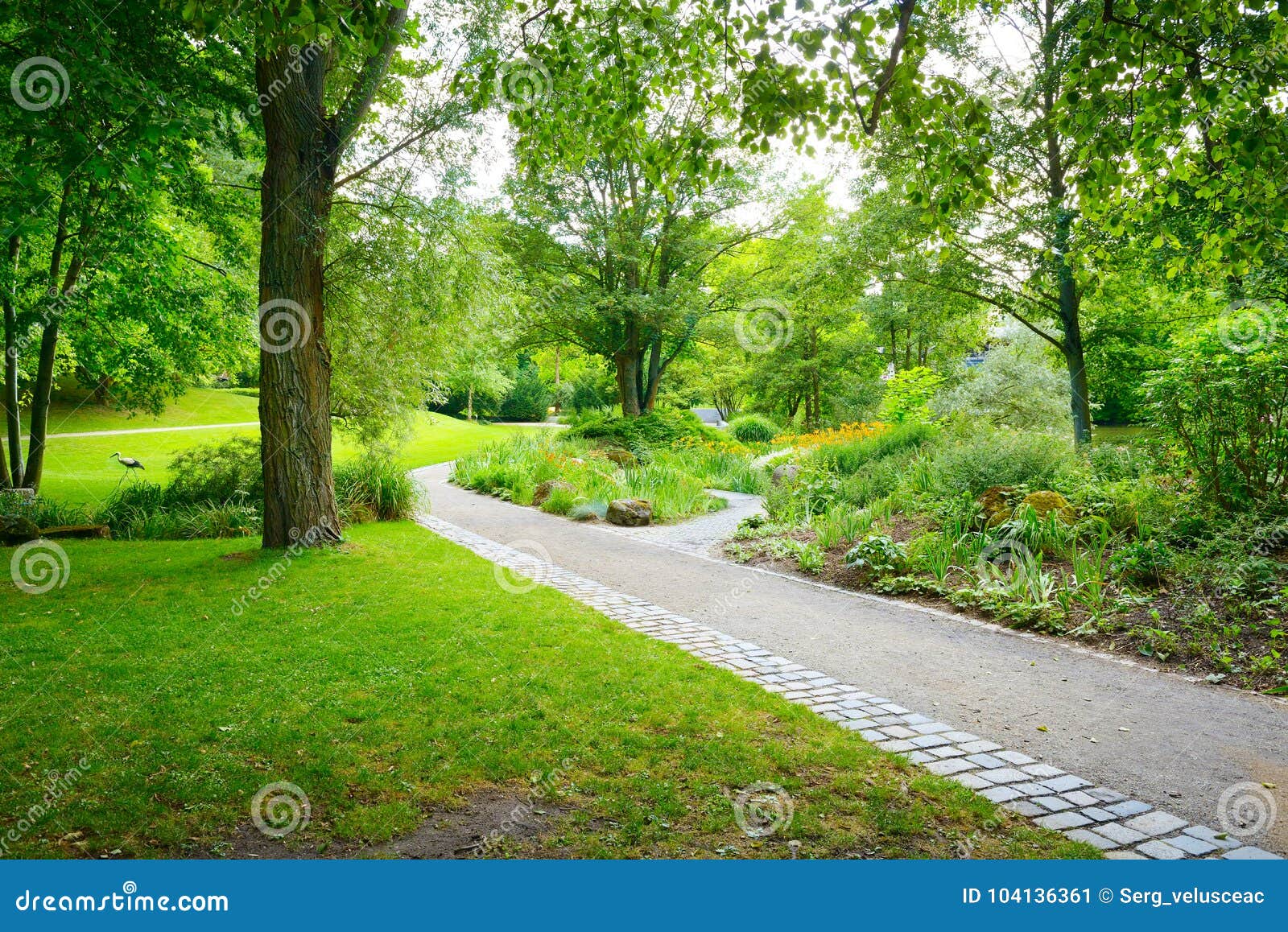 Walking paths in the park stock image. Image of park - 104136361