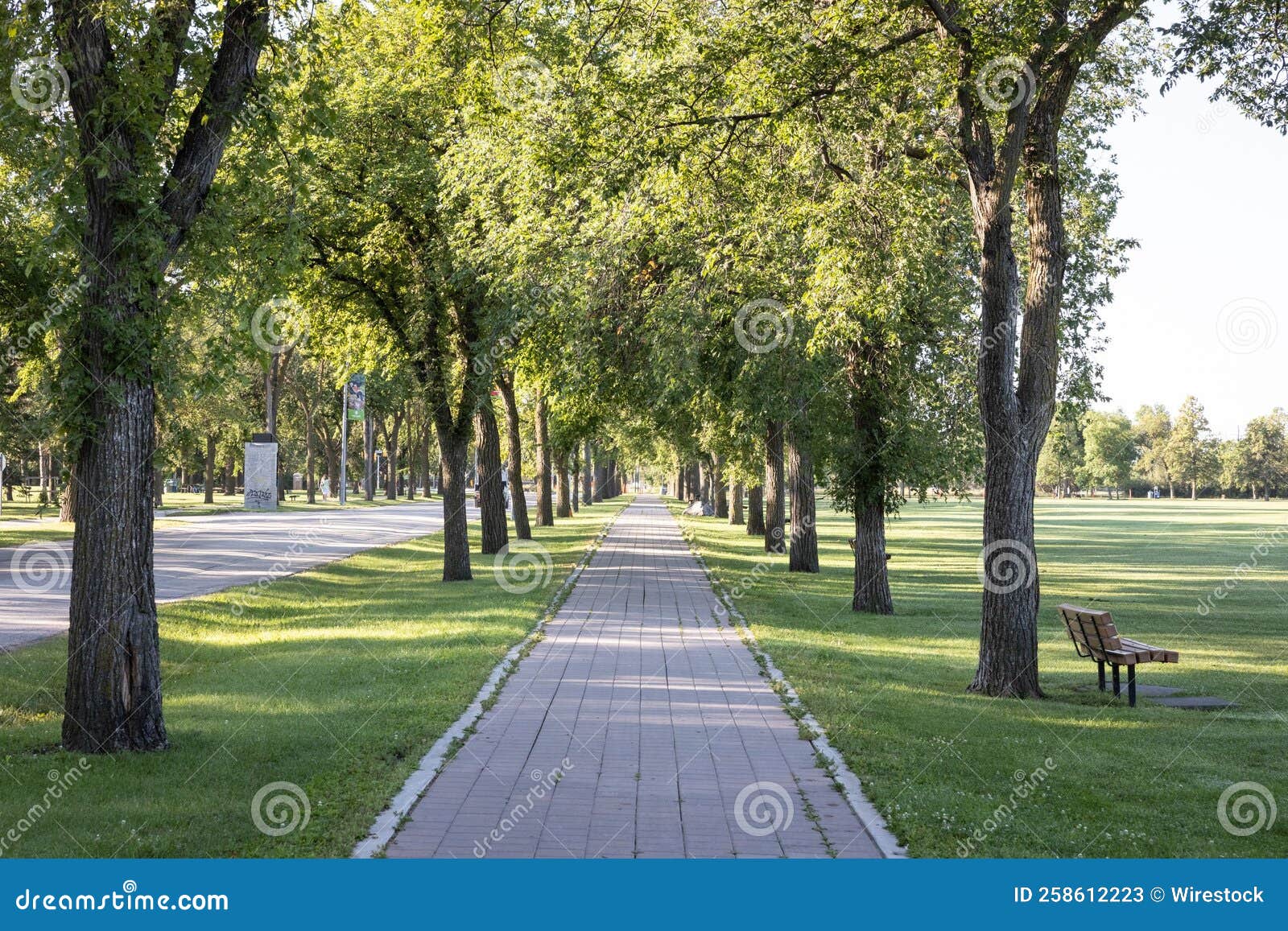 Walking Paths Surrounded by Trees in a Park Stock Image - Image of ...