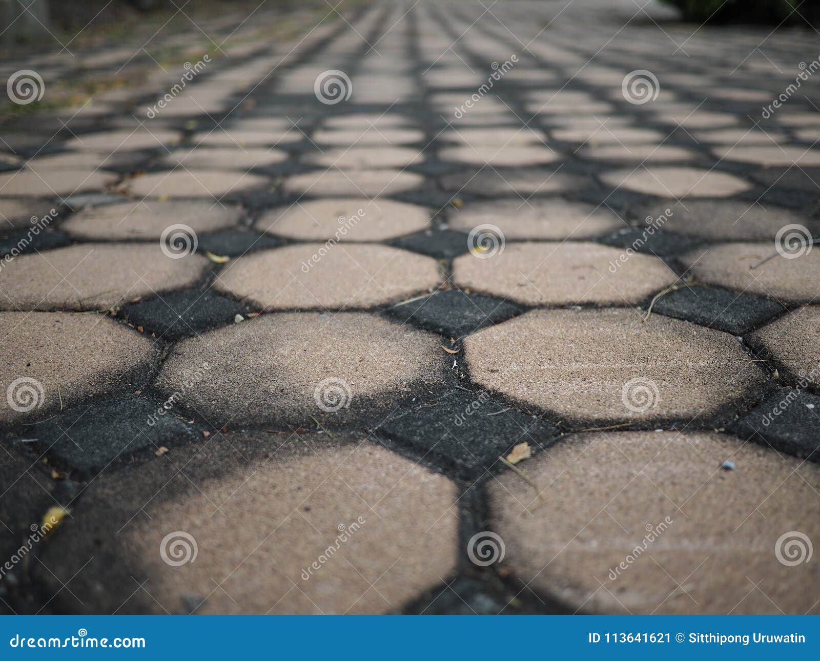 Walking stock image. Image of pathway, road, perspective - 113641621