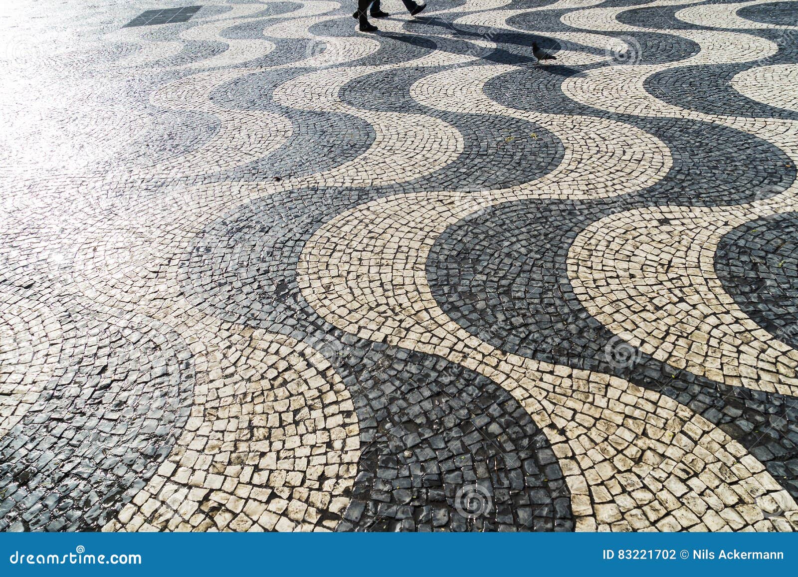 Walking People Casting a Long Shadow on Pavement Stock Photo - Image of ...
