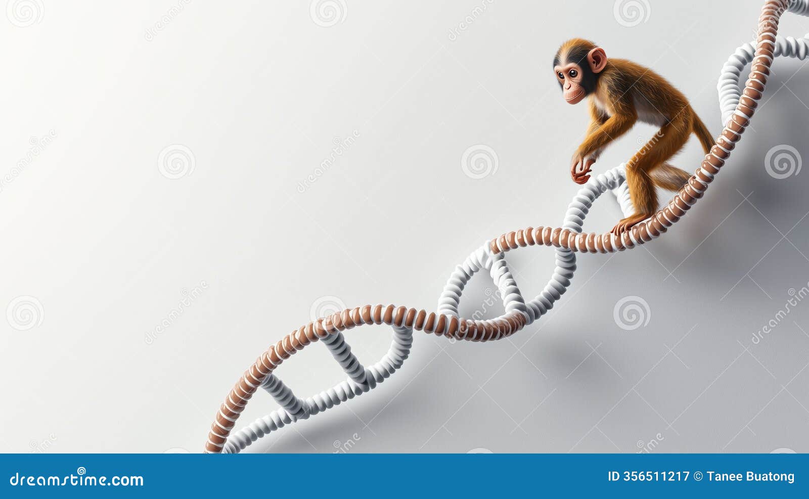 Walking Primate DNA Path Art Stock Illustration - Illustration of ...