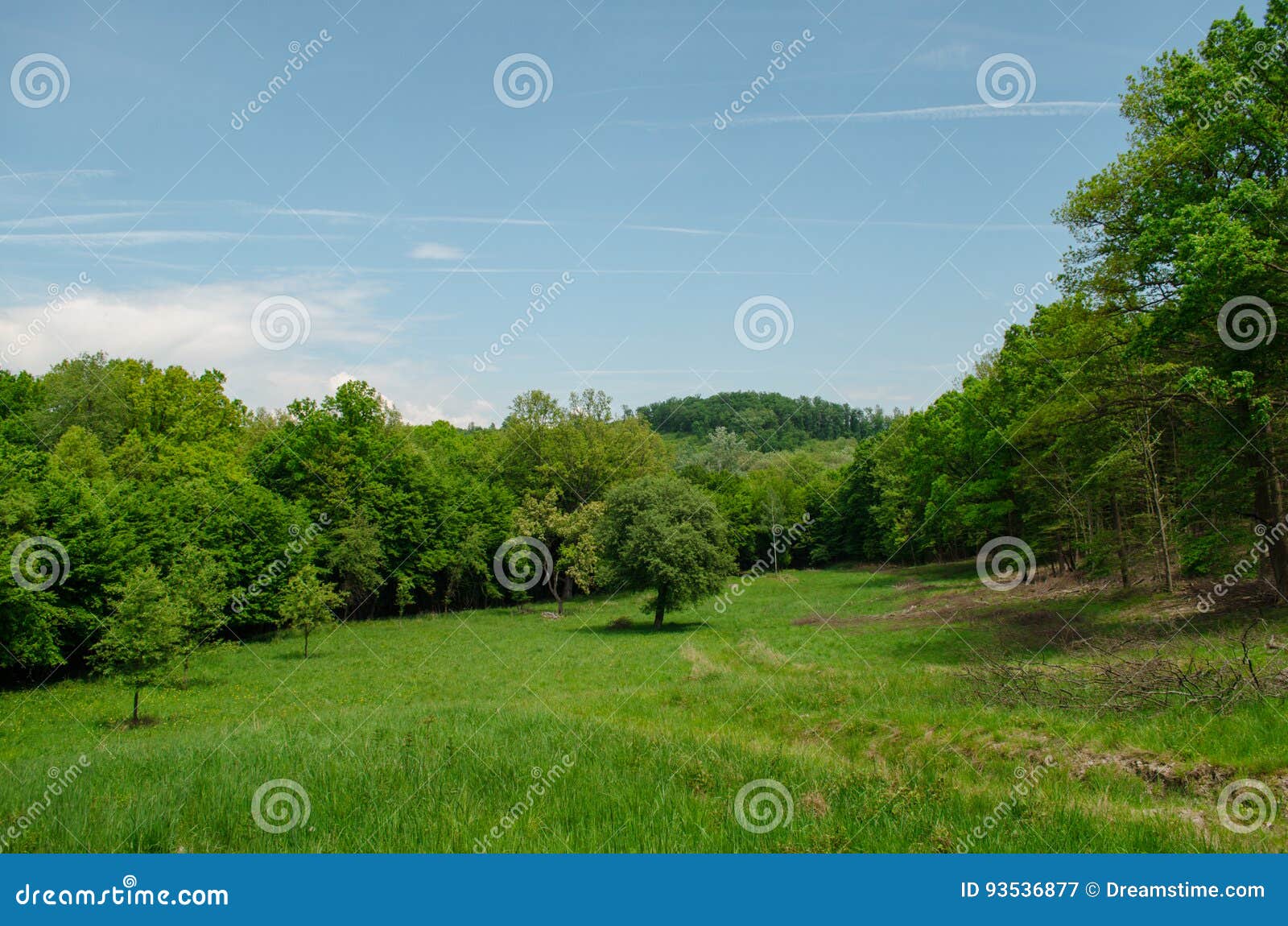 Walking in the Quiet Nature of Spring is Invaluable Stock Image - Image ...