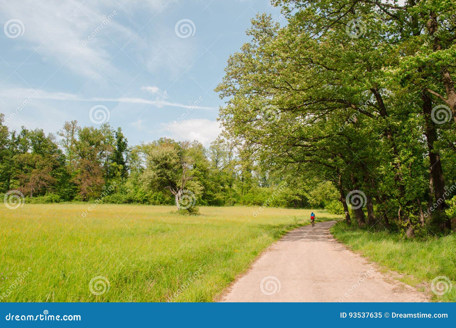 Walking in the Quiet Nature of Spring is Invaluable Stock Image - Image ...