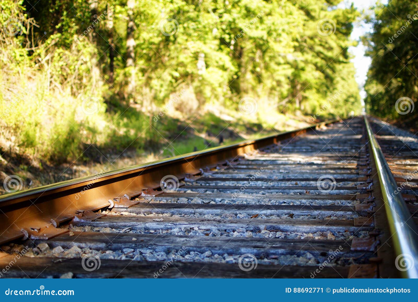 Walking The Rail Picture. Image: 88692771