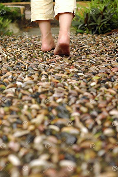 Walking on Reflexology Path Stock Photo - Image of massage, standing ...