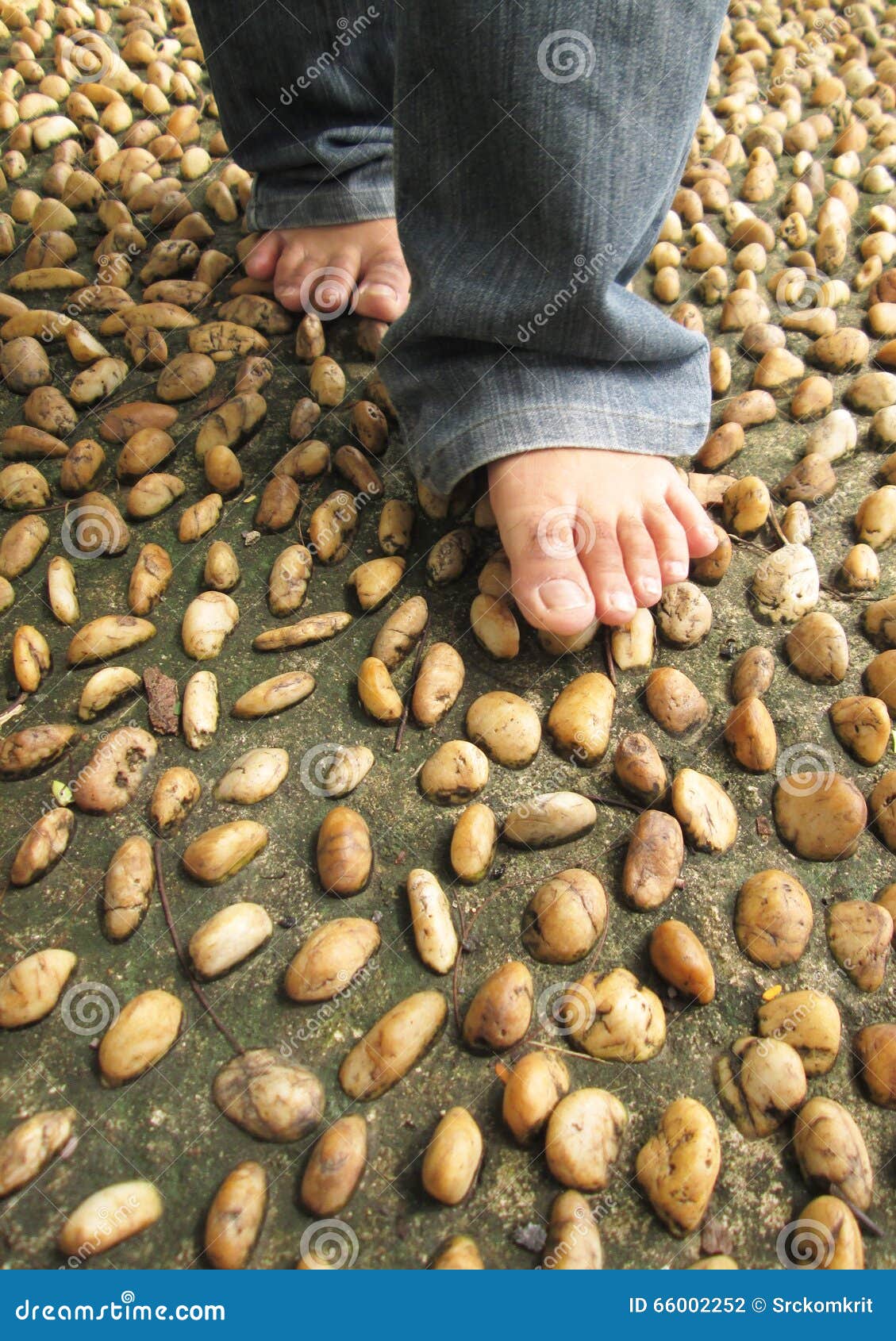 Walking on Reflexology Path Stock Photo - Image of toes, stepping: 66002252