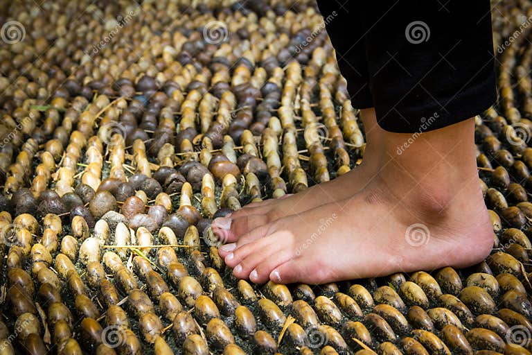 Walking on Reflexology Path Stock Image - Image of cobblestone ...