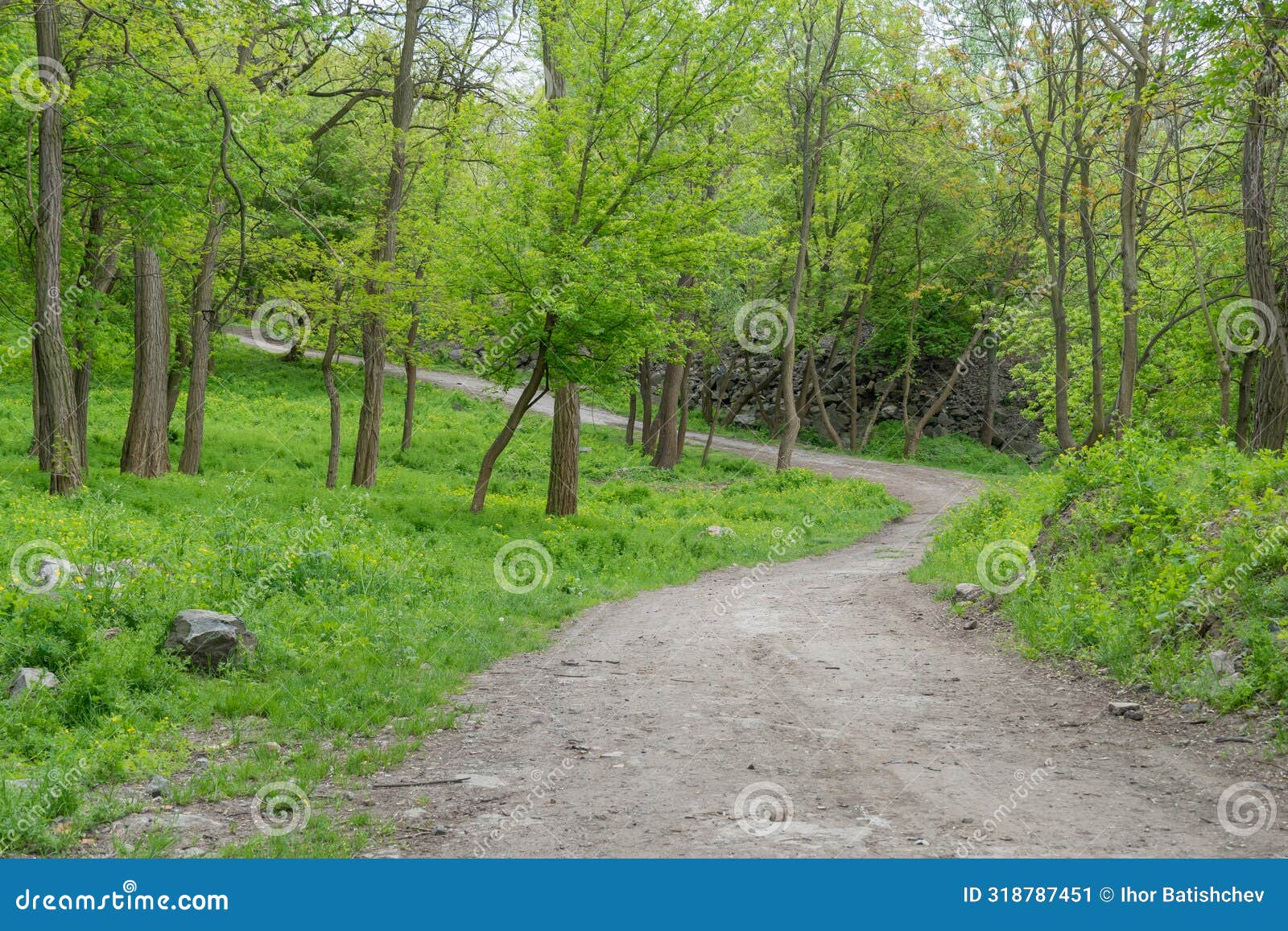 Walking Road in Deciduous Forest of Trees and Shrubs. Path in ...