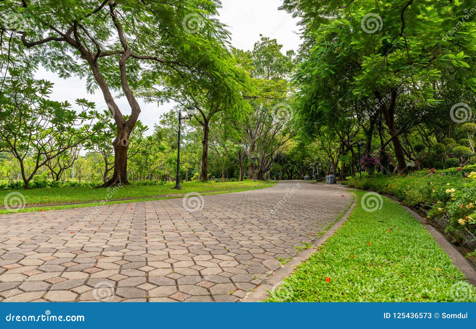 Walking or Running Path Way in Park. Stock Image - Image of nature ...