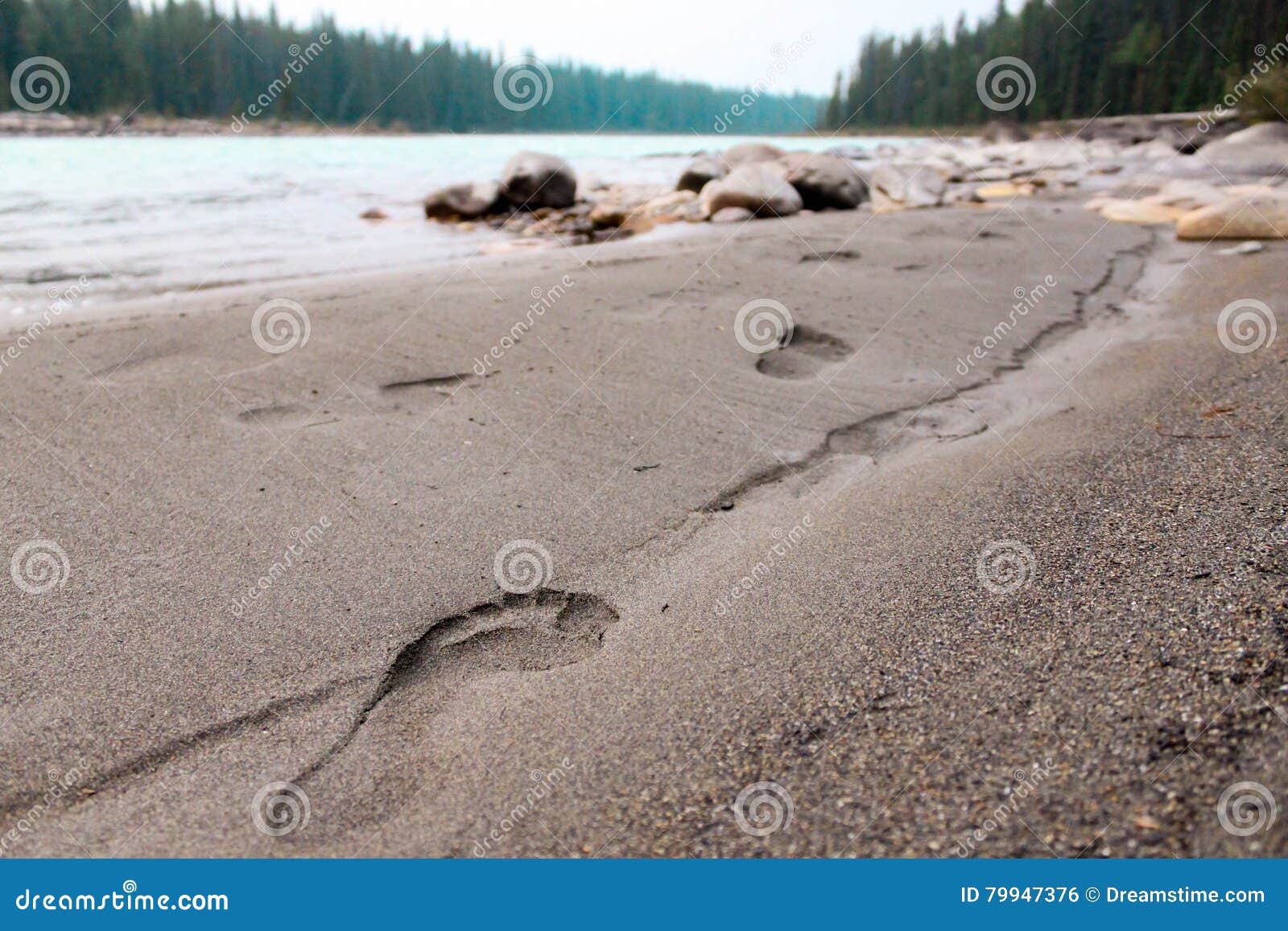 Walking in the sand stock photo. Image of feet, footprints - 79947376