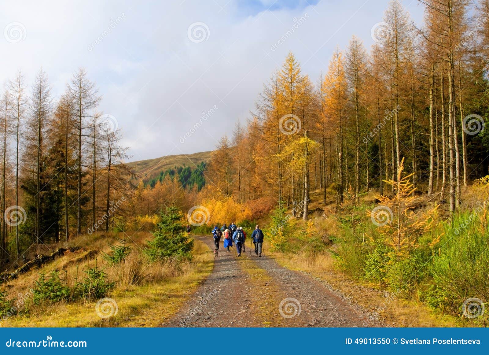 Walking in Scottish Highlands Stock Photo - Image of landscape, nature ...