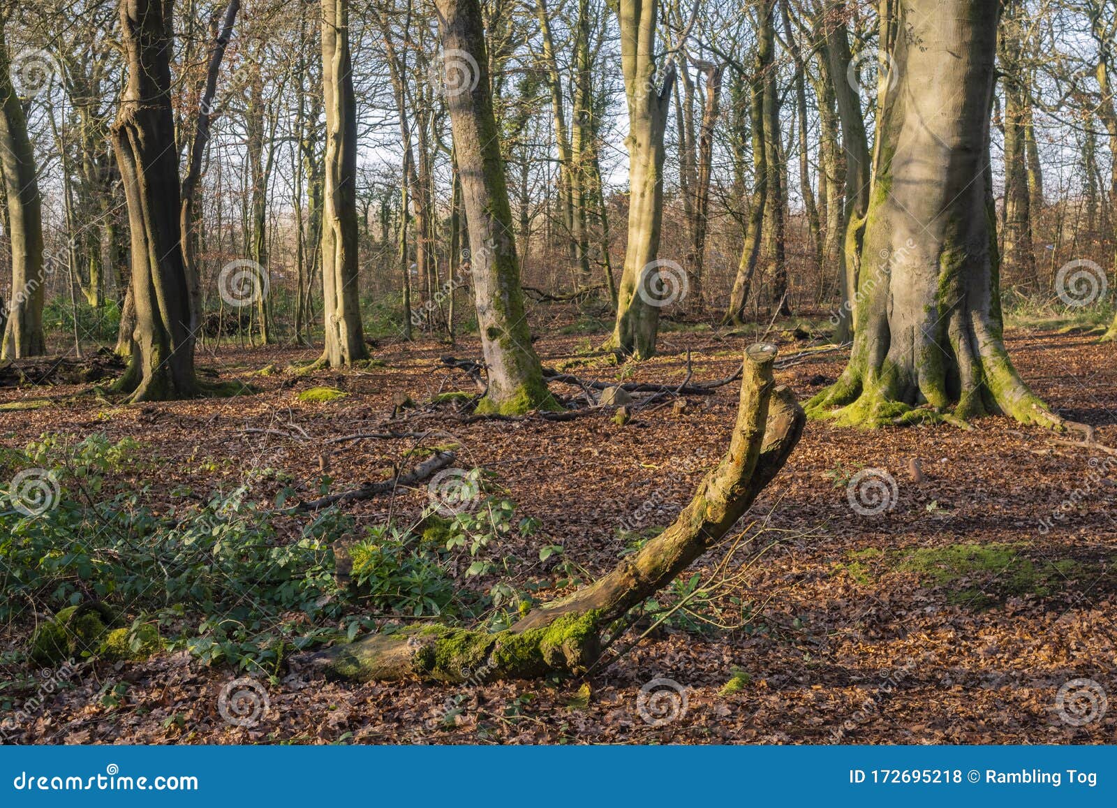 Walking the Settle Loop Above Settle and Langcliffe in the Yorkshire ...