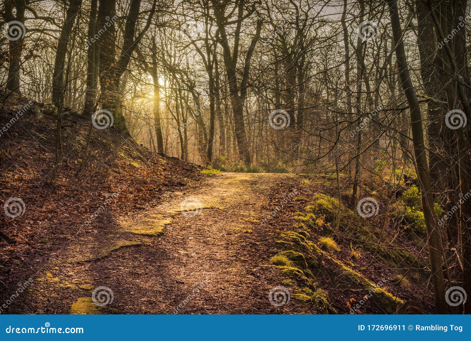 Walking the Settle Loop Above Settle and Langcliffe in the Yorkshire ...