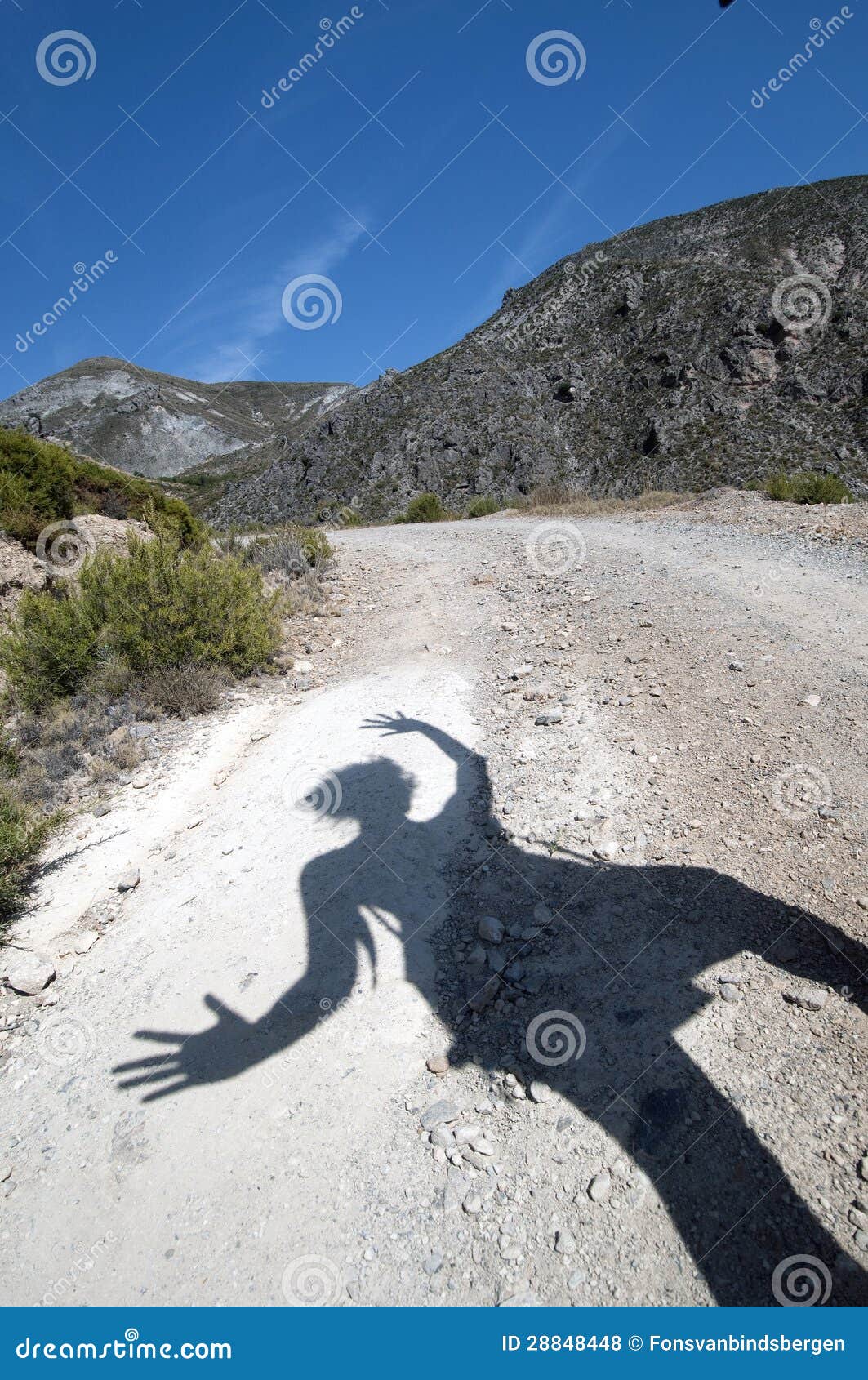 Walking shadow stock photo. Image of shadow, walk, nevada - 28848448