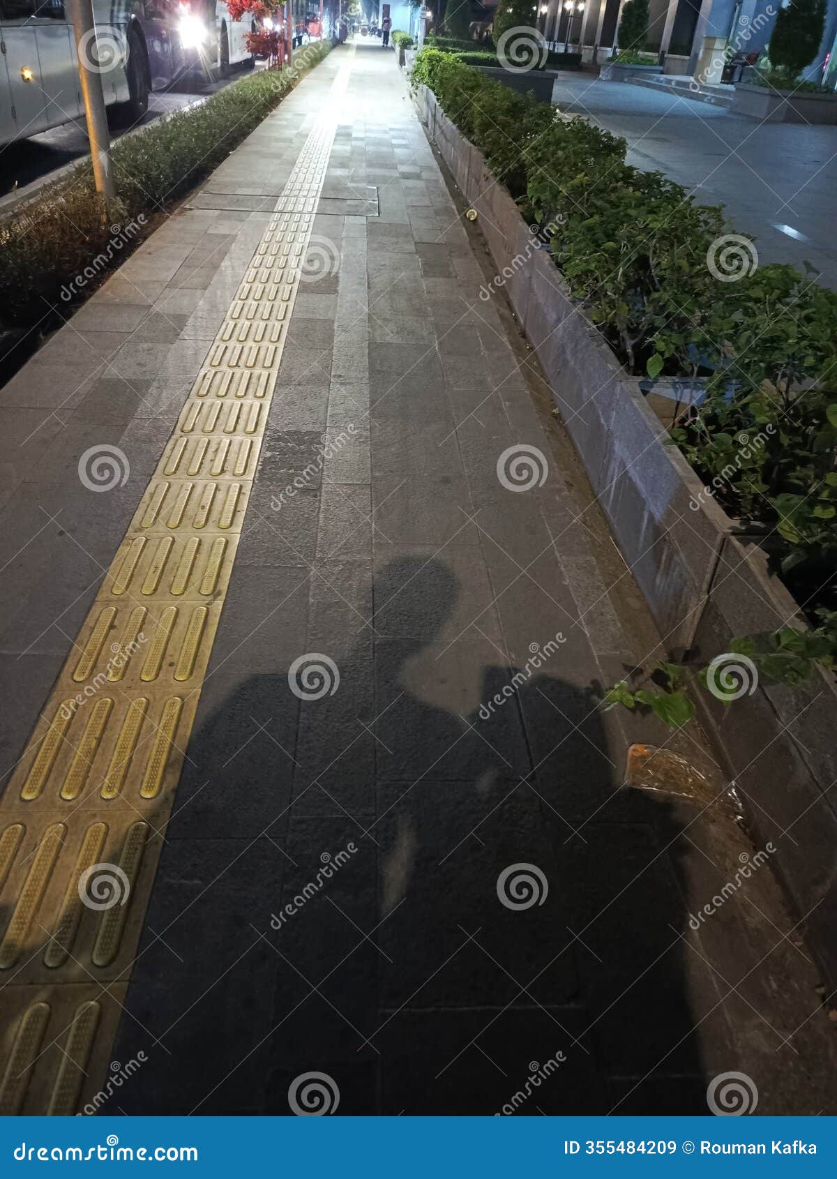 Walking Shadow Couple at Night Stock Image - Image of couples, shadow ...