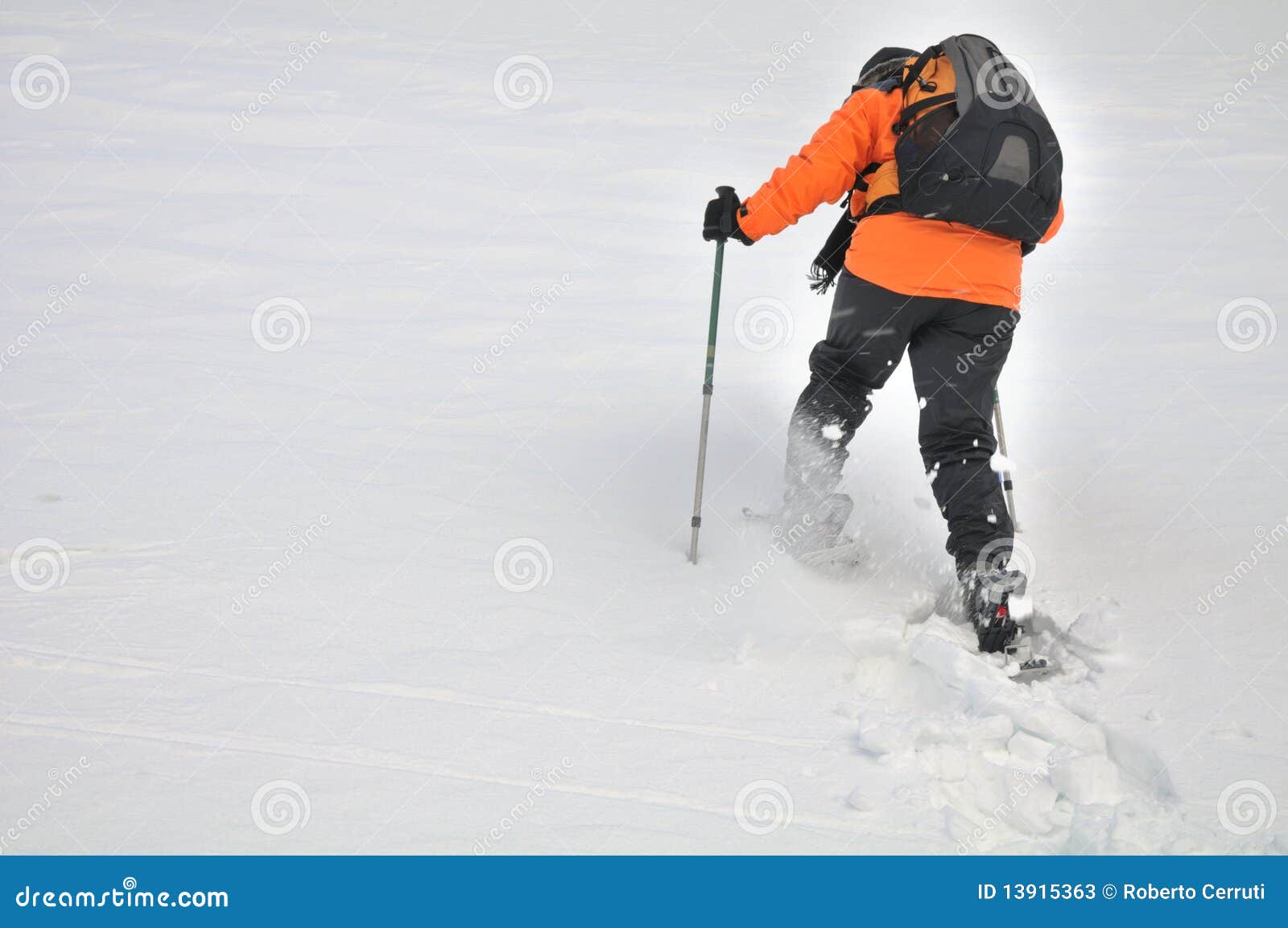 Walking in the snow stock image. Image of woman, walking - 13915363