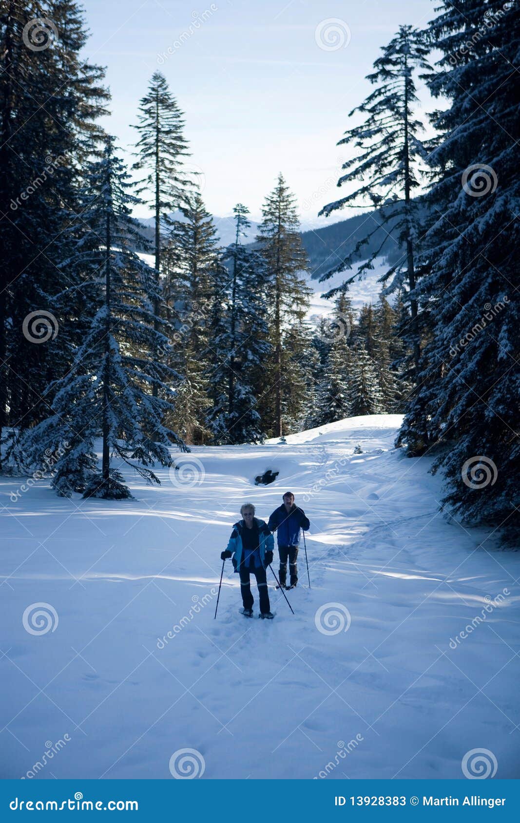 Walking through the snow stock image. Image of adult - 13928383