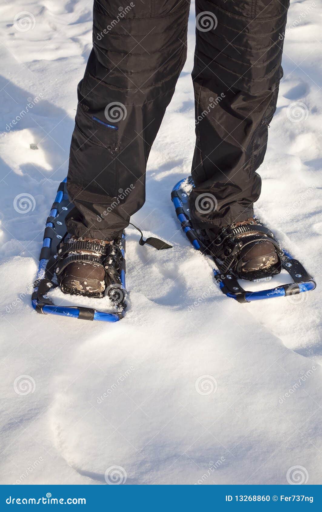 Walking with snow rackets. stock photo. Image of equipment - 13268860
