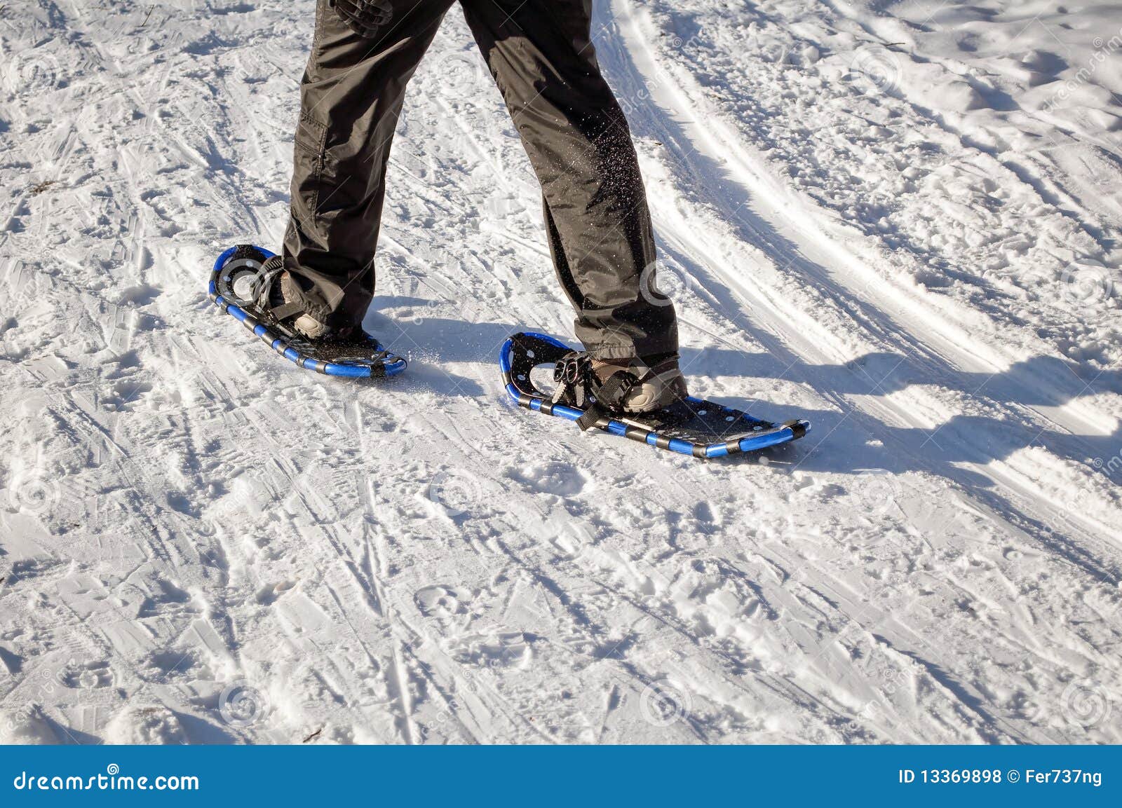 Walking with snow rackets. stock photo. Image of action - 13369898